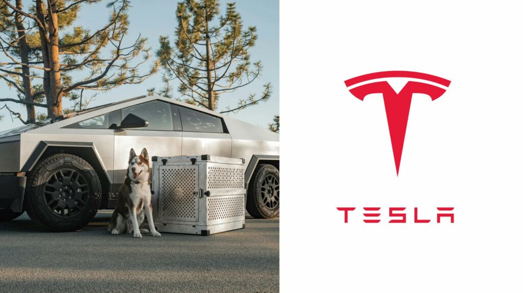 How does Tesla improve the environment? | Redway Tech